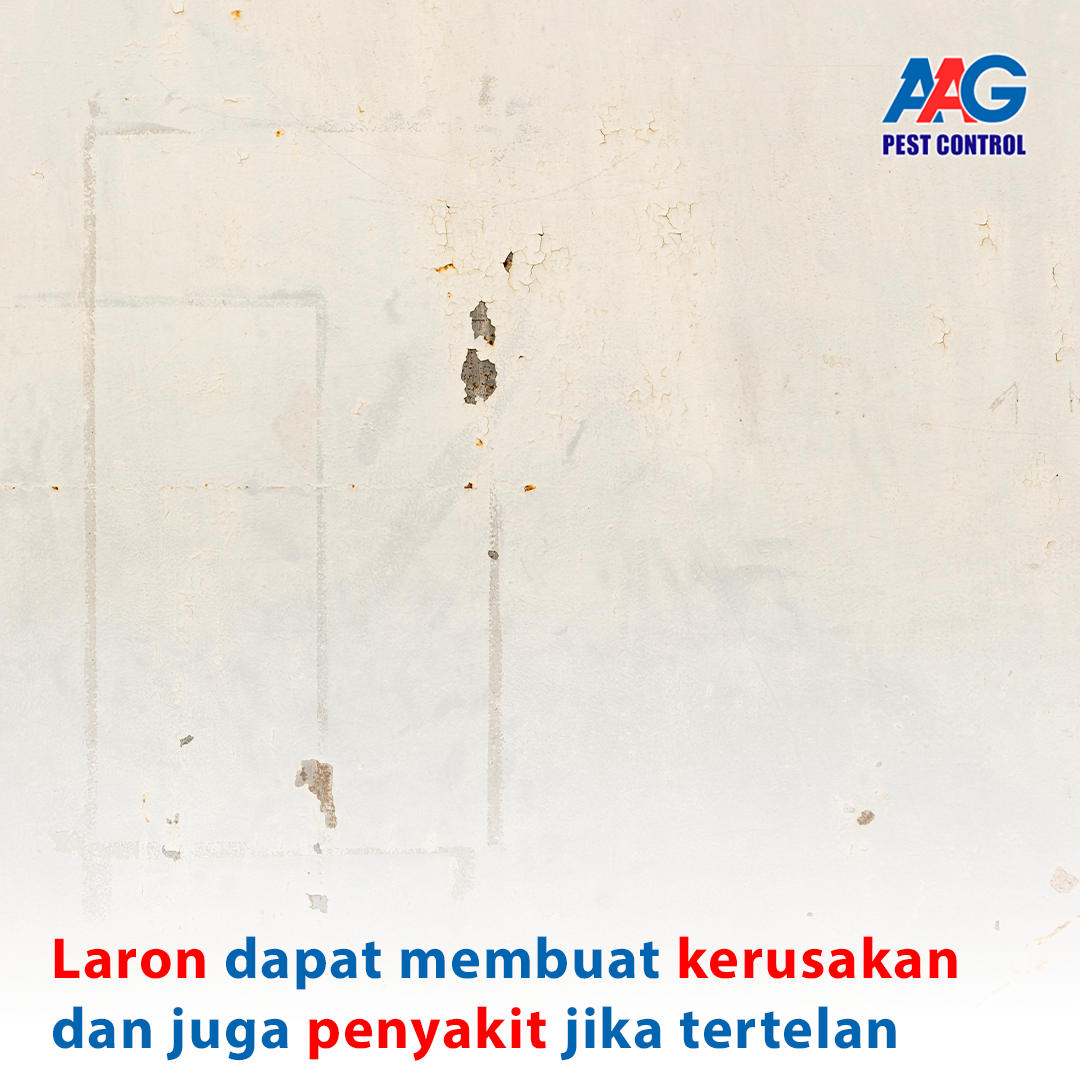 Blog Post - AAG Pest Control